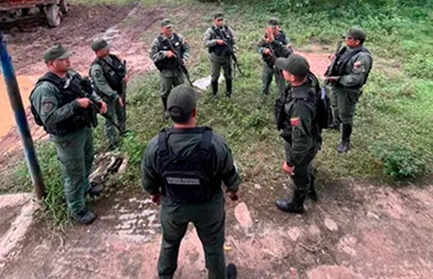 GNB recupera 20 búfalos hurtados en Zulia - Diario La Calle